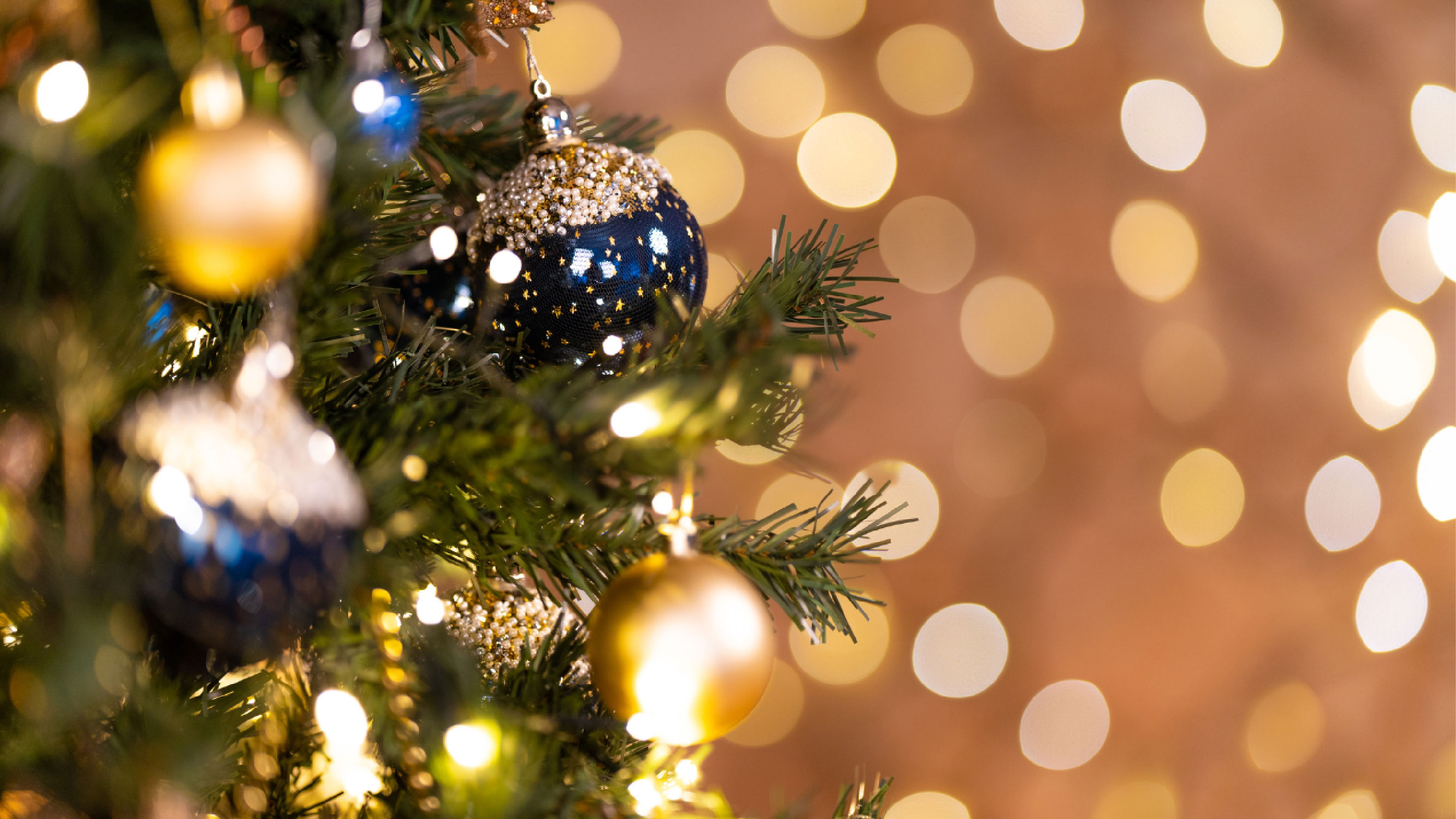 O BMSP Deseja Boas Festas e muita saúde! | Blog | BMSP - Brasil Medicina Saúde Preventiva